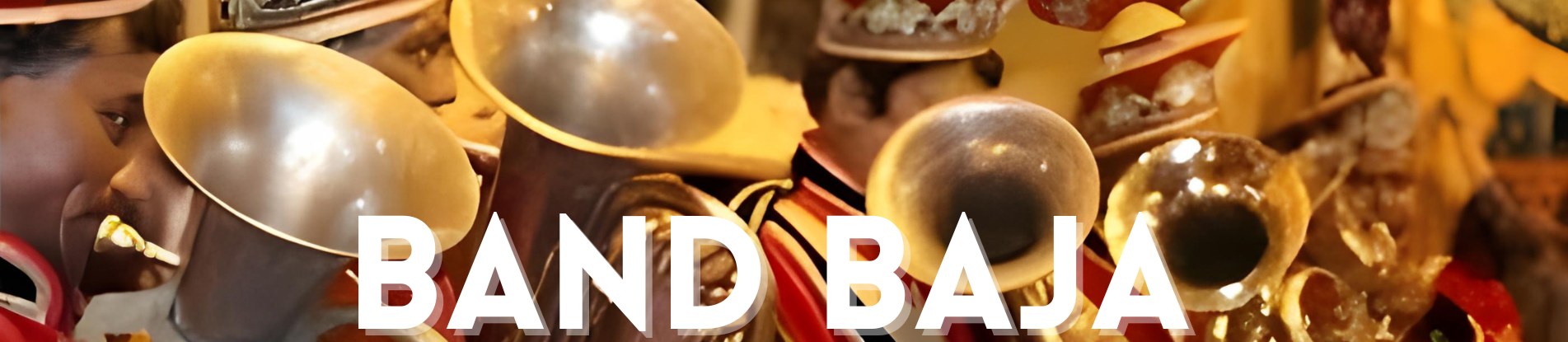 Wedding Band Baja in Delhi NCR - Contact Us for Vibrant Celebrations!